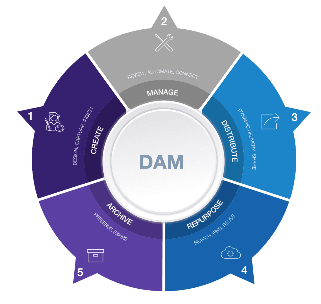 DAM - What is it? – dampioneers